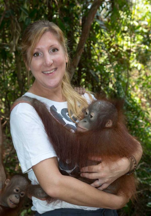 Orphaned wild baby orangutans | Long Beach Animal Hospital